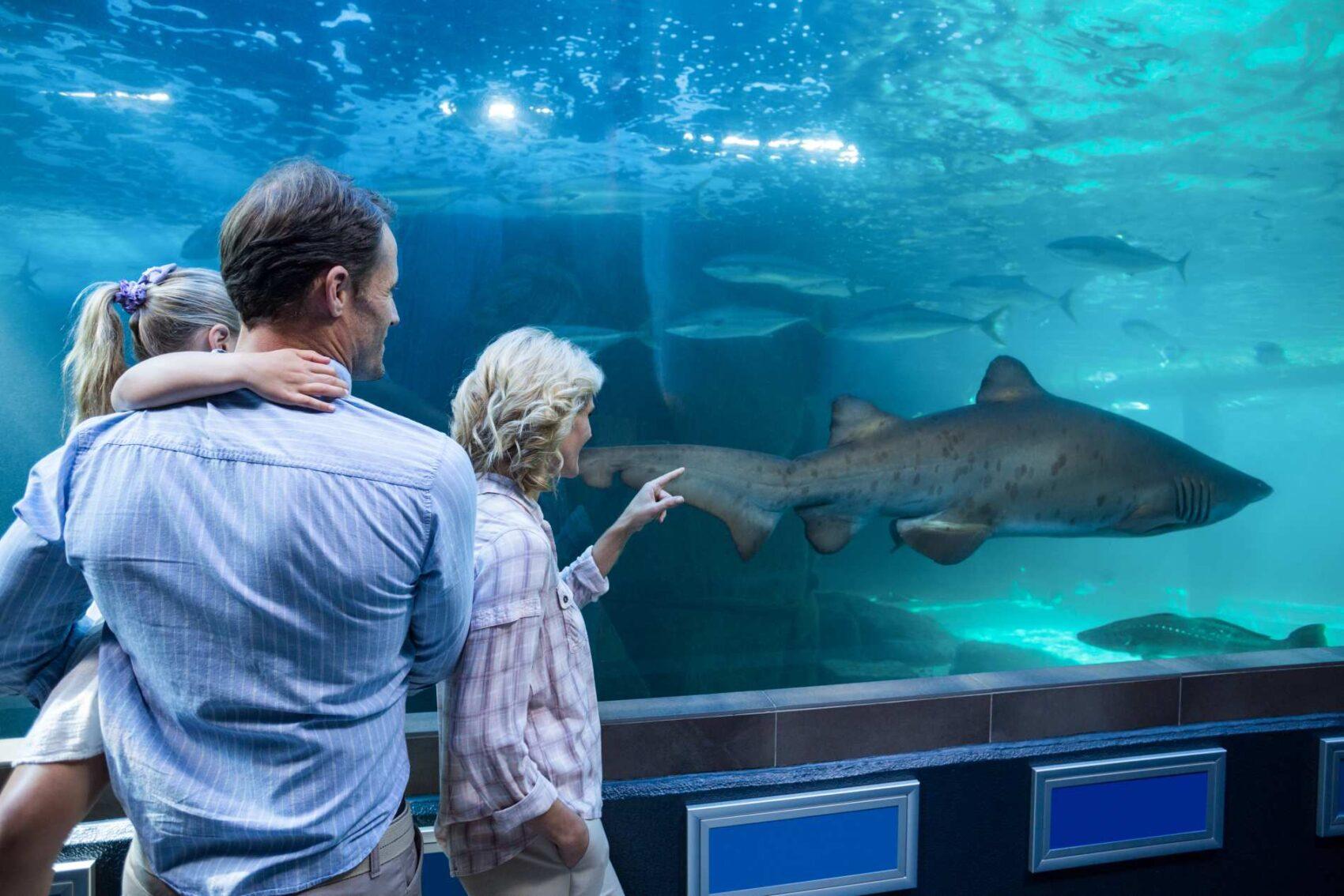 10 Reasons to Visit SEA LIFE Melbourne Aquarium - Melbourne Private ...